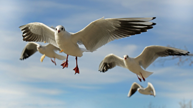 休業のお知らせ｜herbraffia｜coconalaブログ